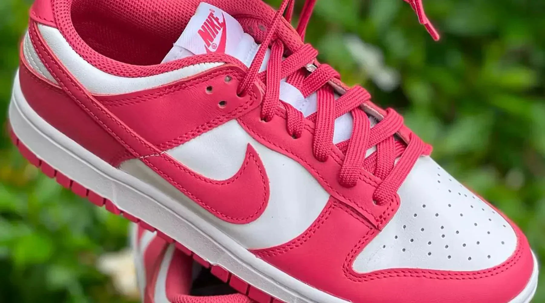 Pink Dunk: The Trend Dominating Sneaker Culture